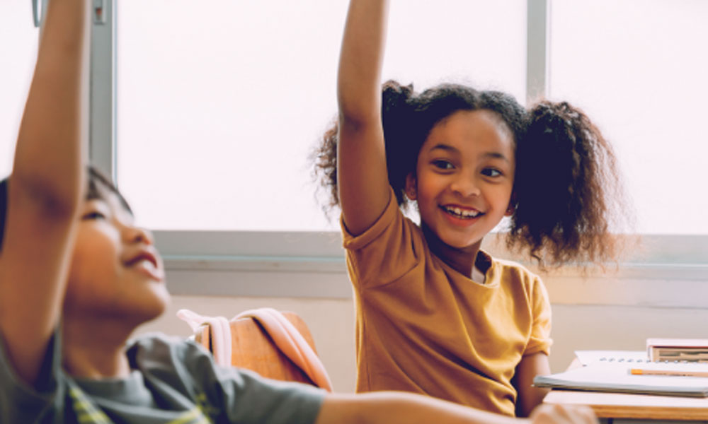 Home - Priddy Learning Academy